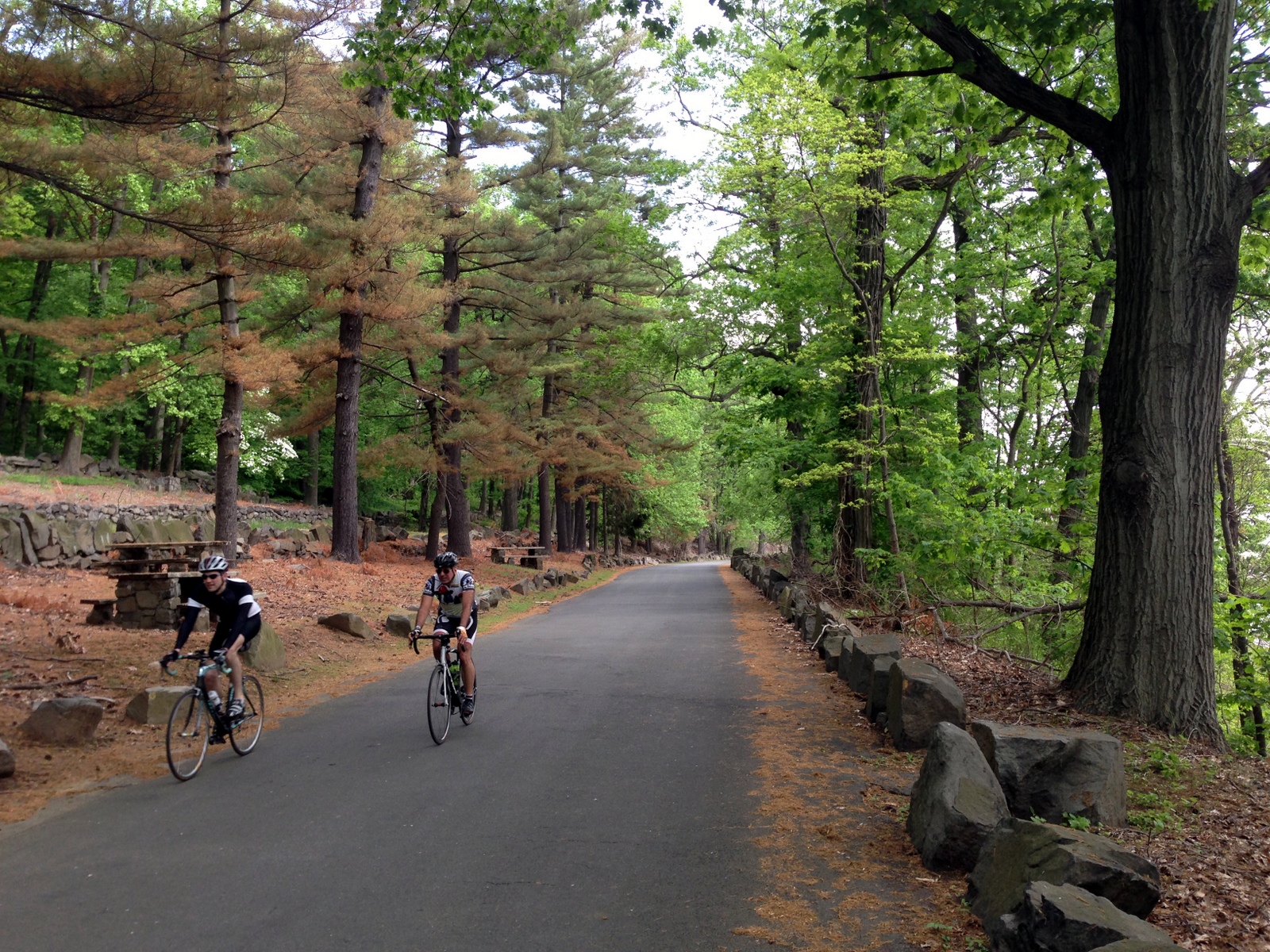 Fun races near but outside the city? : r/RunNYC